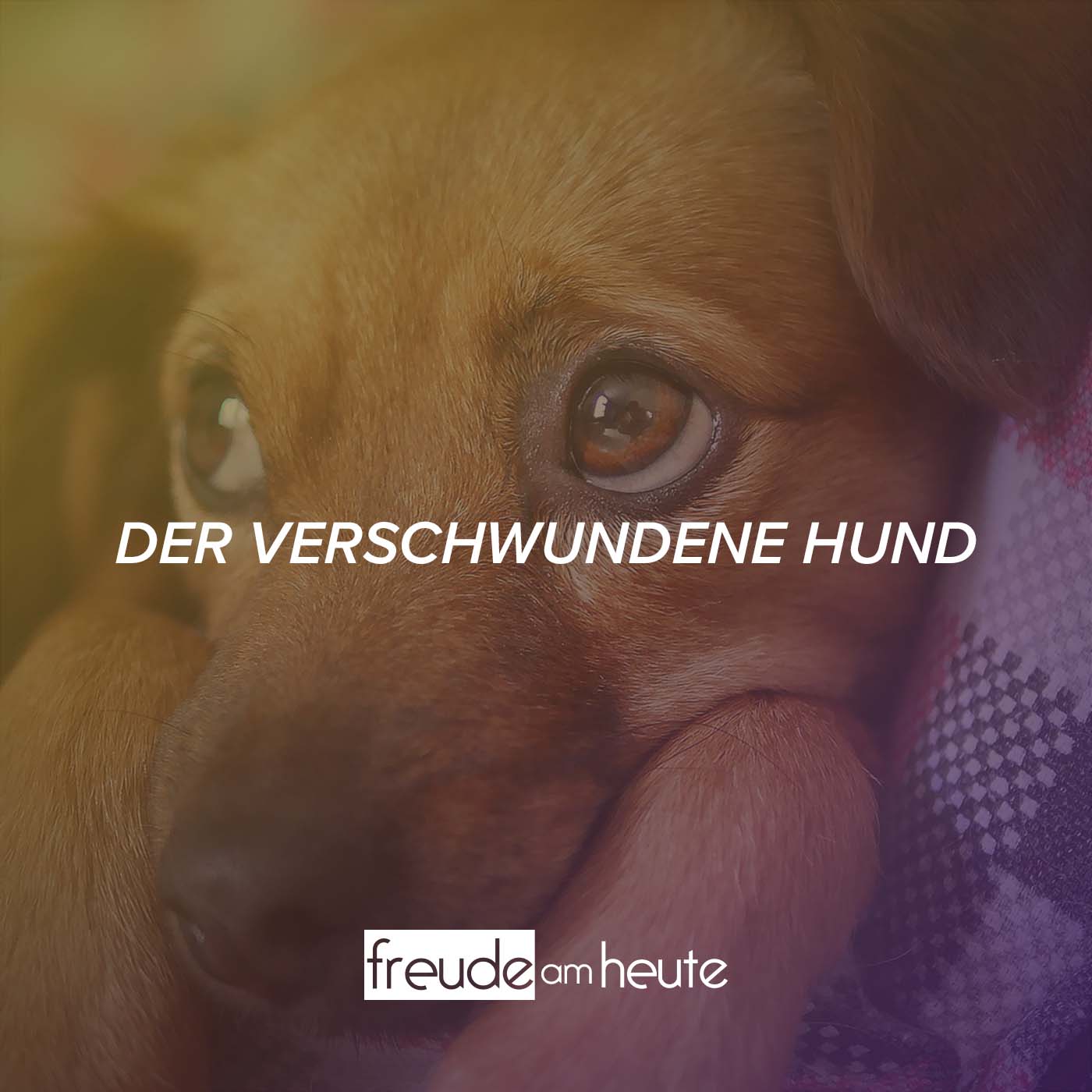 Deine Sorgen sind die Sorgen Gottes - Freude am Heute Deine Sorgen sind die Sorgen Gottes - Freude am Heute